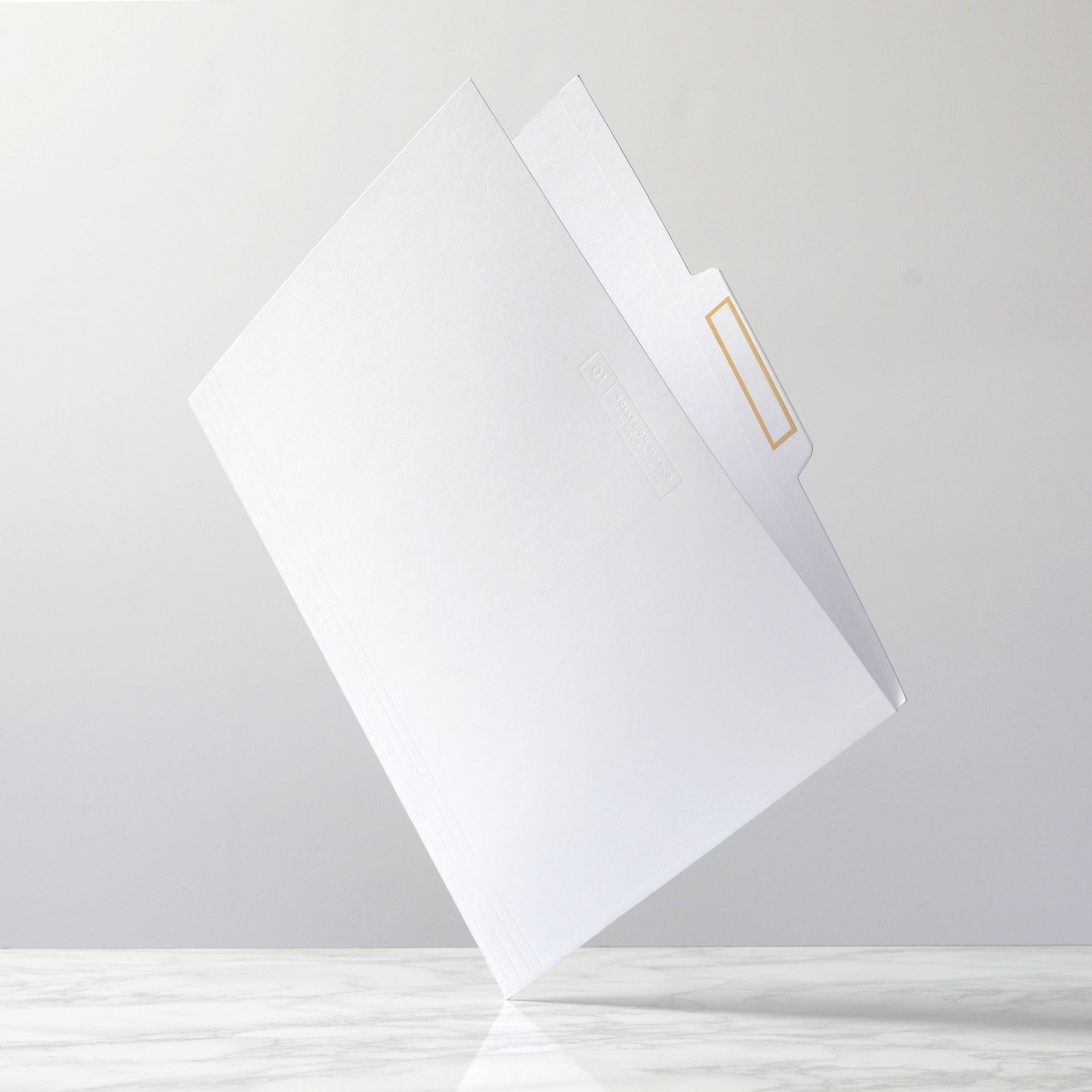 File Folder, Center Tab, Letter Size, White, Gold Foil Labels, 12/Box ...