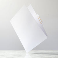 File Folder, Center Tab, Letter Size, White, Gold Foil Labels, 12/Box ...